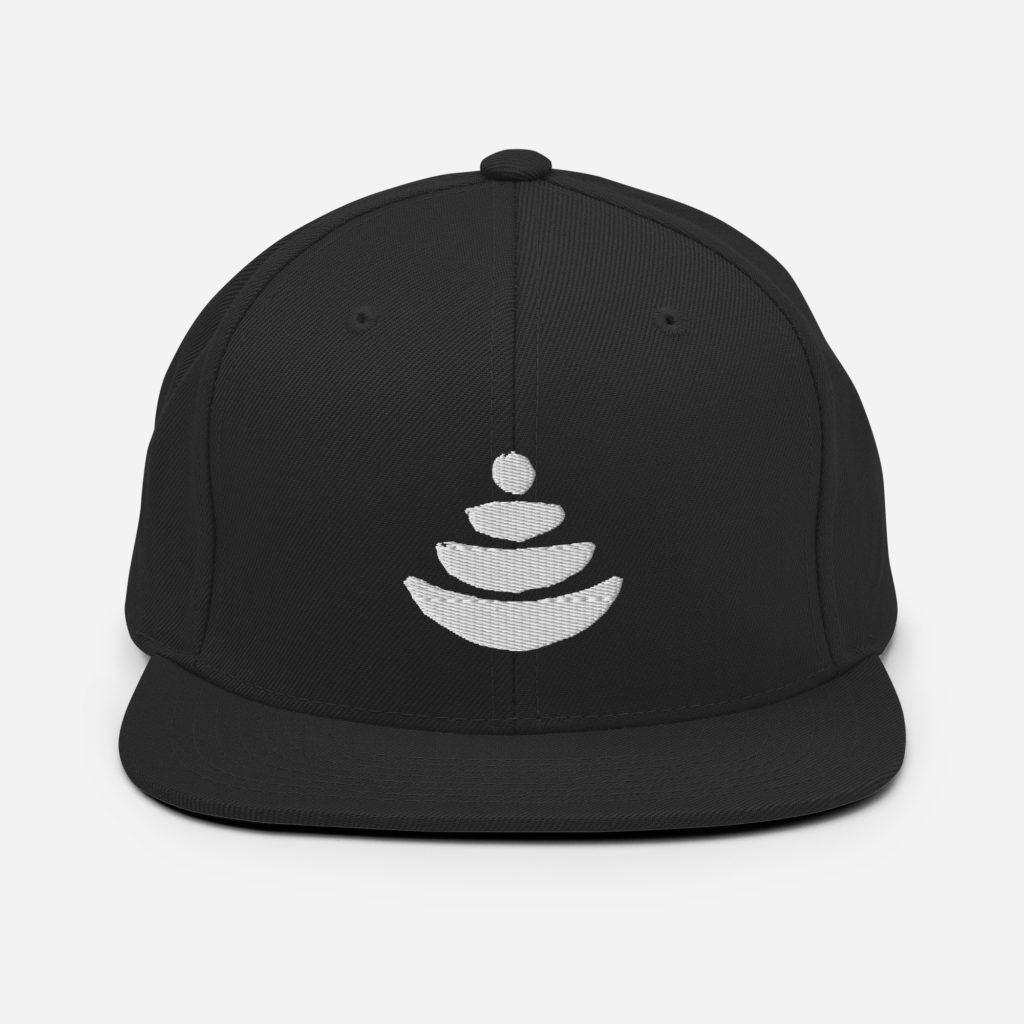ECHO Brand Beanie | ECHO Recovery Black Hat