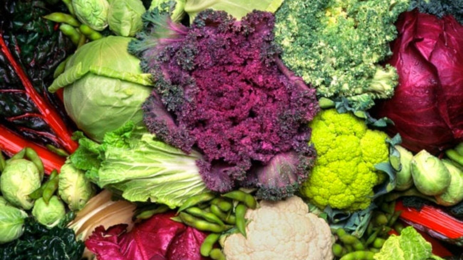 What to Eat During Alcohol Recovery